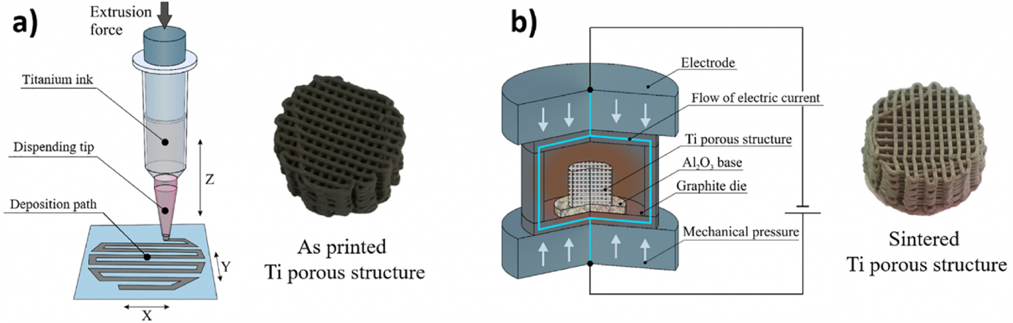 Pressure-less spark plasma sintering of 3D-plotted titanium porous ...